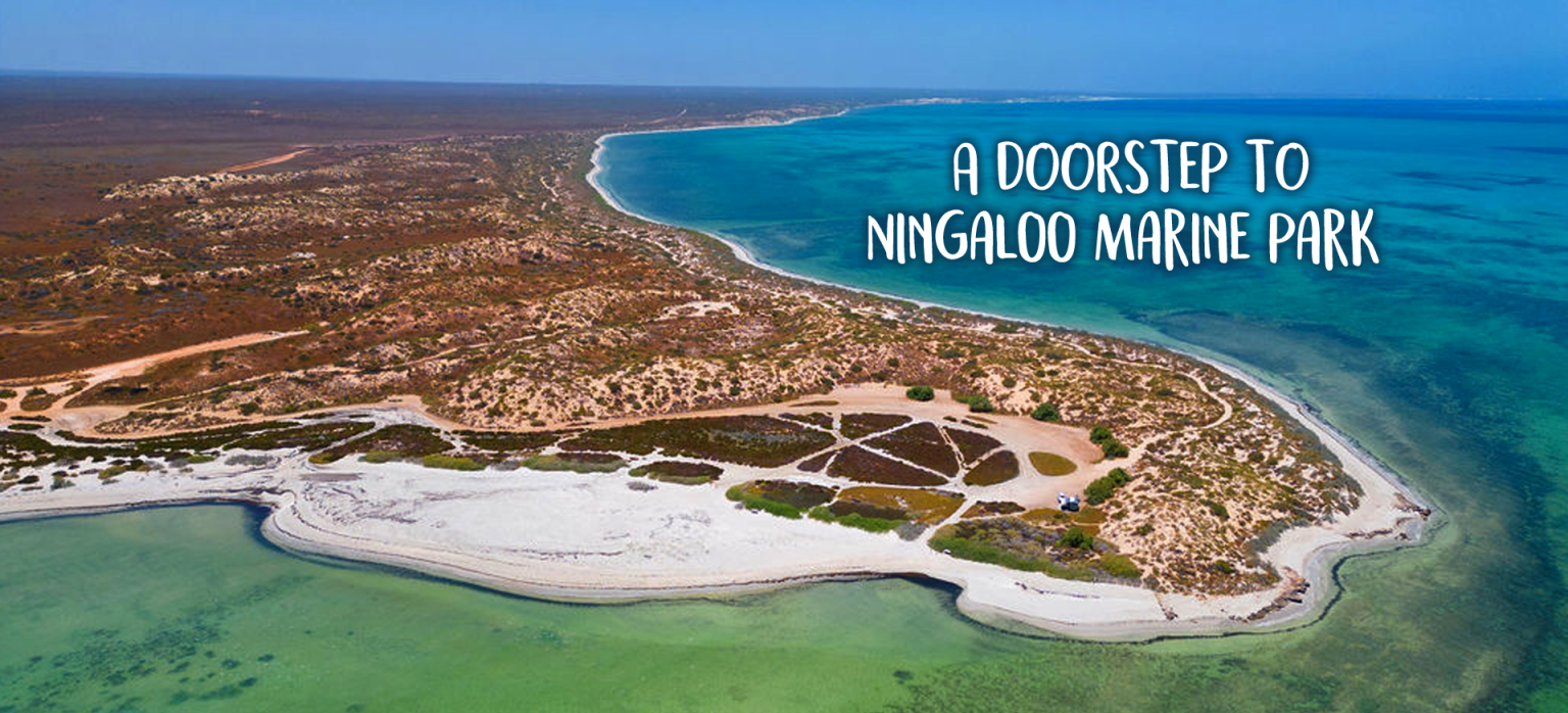 bruboodjoo campsite – A Doorstep to Ningaloo Marine Park